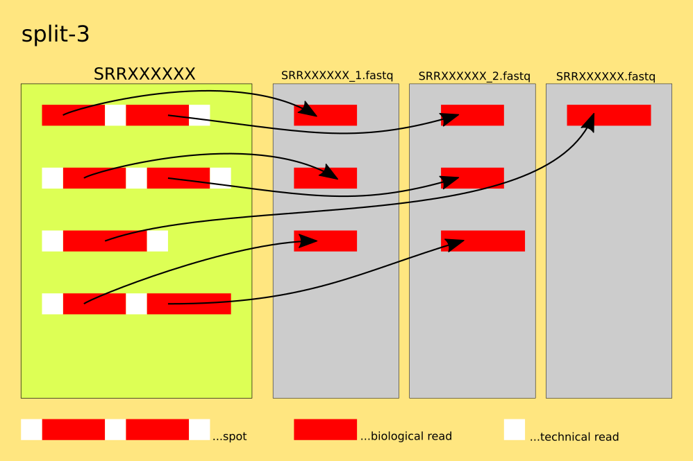 sra转fastq笔记（fastq-dump、fasterq-dump和parallel-fastq-dump） - 知乎