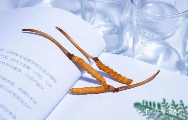 鲜虫草鲜科技，东阳光鲜虫草解密领“鲜”密码 - 知乎