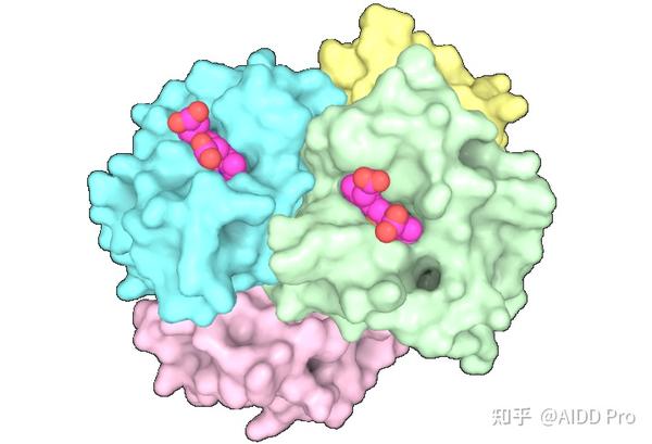 PyMOL教程｜基于MODELLER进行蛋白质复合体的同源建模 - 知乎
