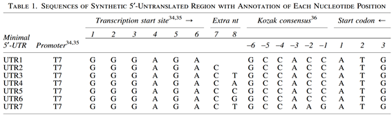 【耀文解读】mRNA篇|mRNA序列优化——筛选最短5'UTR序列实现mRNA翻译效率最大化 - 知乎