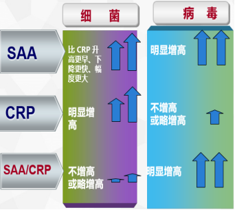 CRP、SAA临床解读 - 知乎