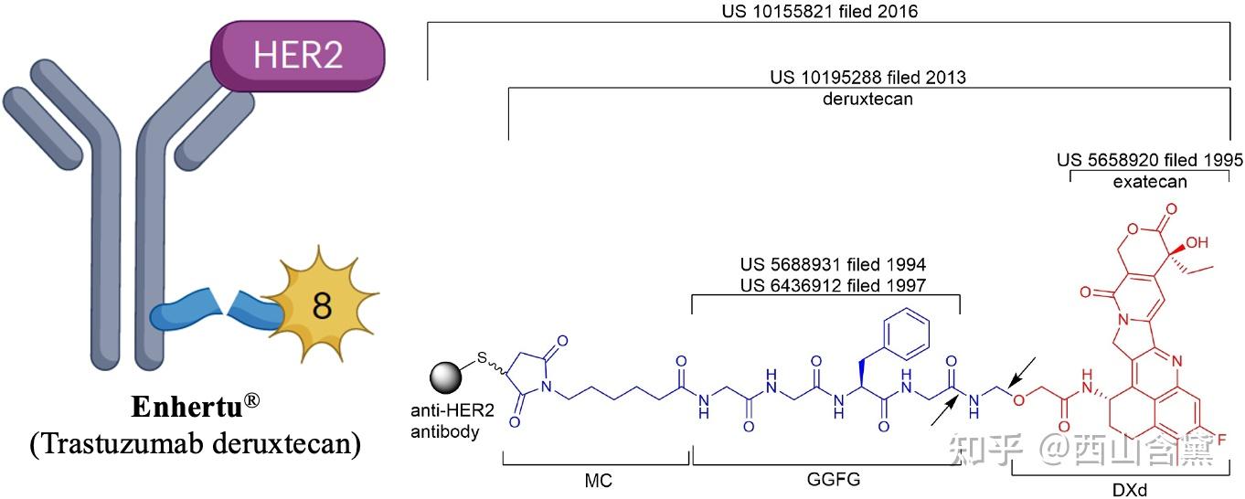 已批准ADC的专利布局 - 知乎