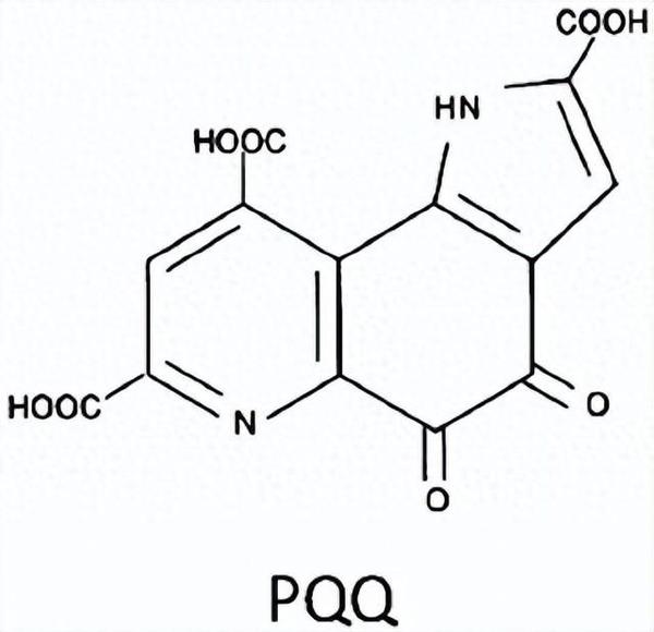 抗衰领域的黑马“PQQ”究竟是什么？ - 知乎
