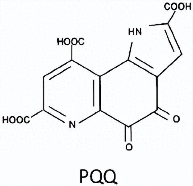 抗衰领域的黑马“PQQ”究竟是什么？ - 知乎