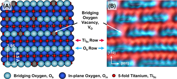 一文读懂STM和AFM的原理与区别 - 知乎