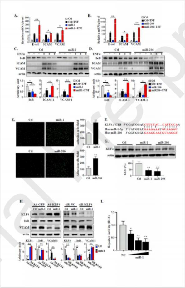 国自热点——这篇外泌体疾病交互文献， 让你的miRNA研究升级换代！ - 知乎