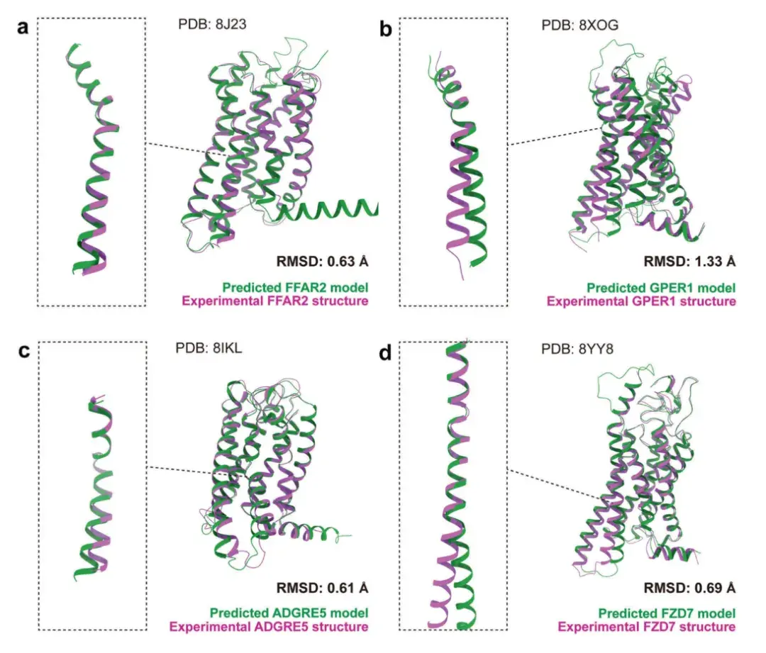 AlphaFold3预测结构准确性不足！上海药物所徐华强团队研究证实 - 知乎