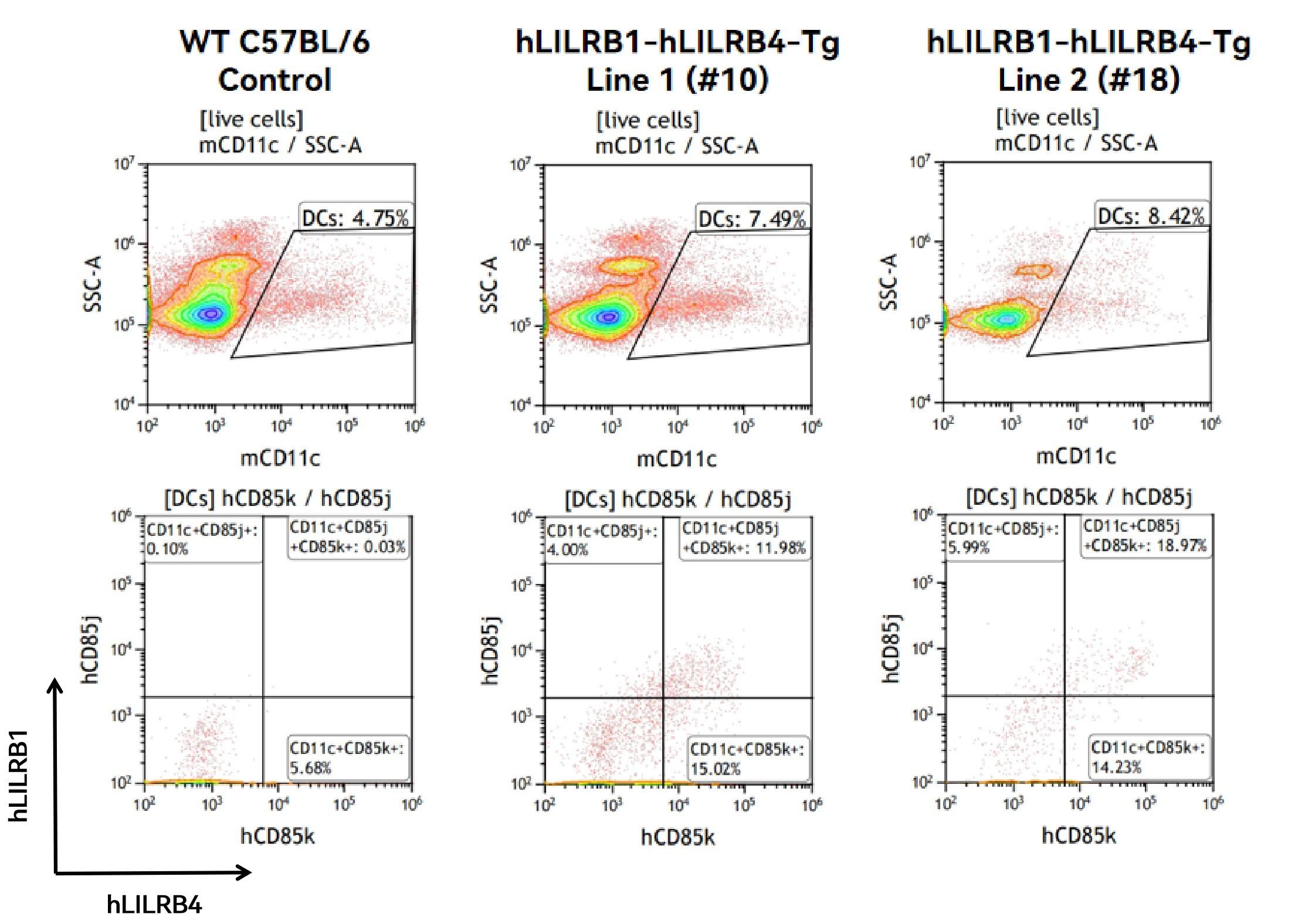 抗癌理想靶点新选择：LILRBs - 知乎