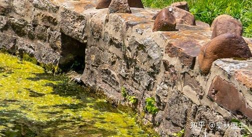 2024年索尼 a7m4 评测｜8000多字超详细干货（2024年11月更新） - 知乎