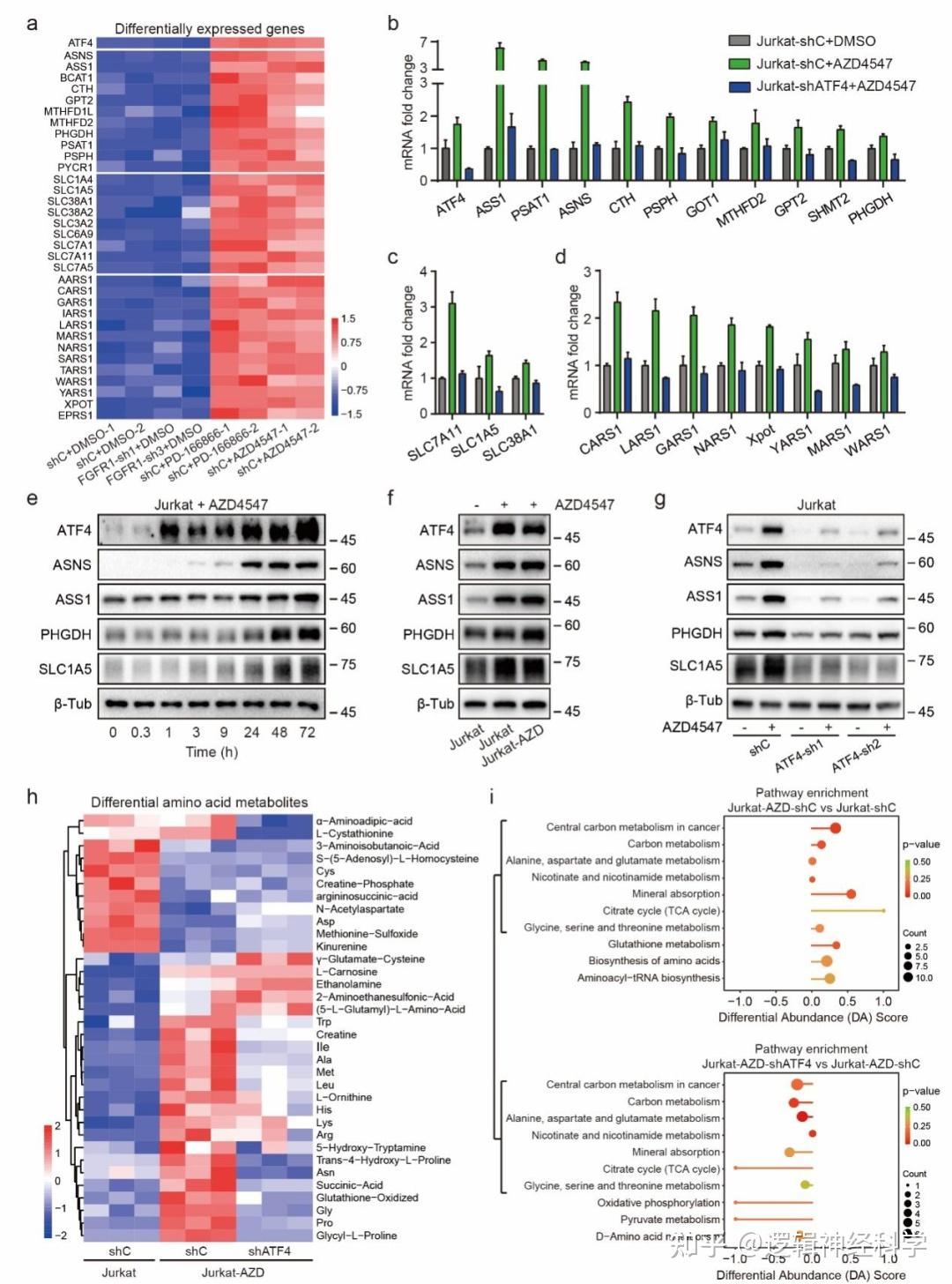 APS｜武汉科技大学祝海川/张同存团队揭示FGFR1抑制剂耐药新机制 - 知乎