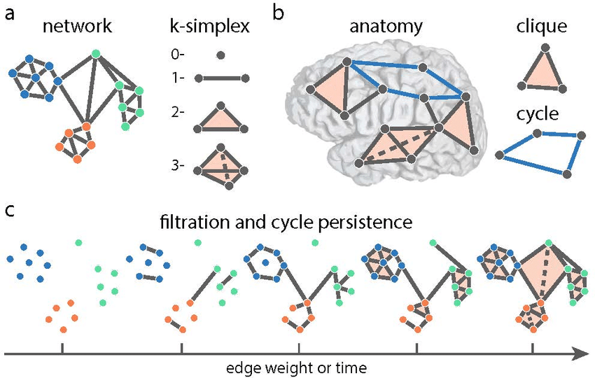 MP20：单形、复形、链群和边界算子 - 知乎