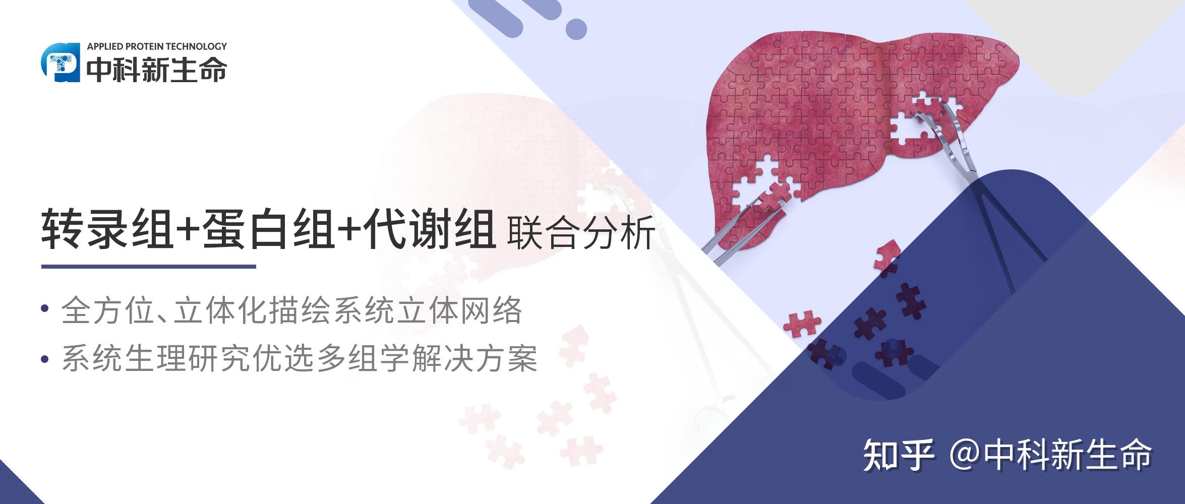 项目文章Pharmacol Res（IF 10）|中山大学附属第三医院利用转录组和蛋白组分析揭示MUP1减轻内质网应激的关键作用 - 知乎