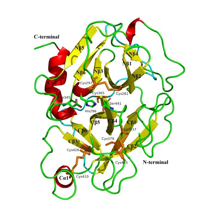 受体-配体结合亲和性分析—3.分子对接 - 知乎