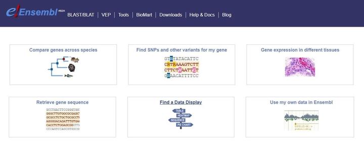 生信工具分享|如何用Biomart查询基因信息？ - 知乎