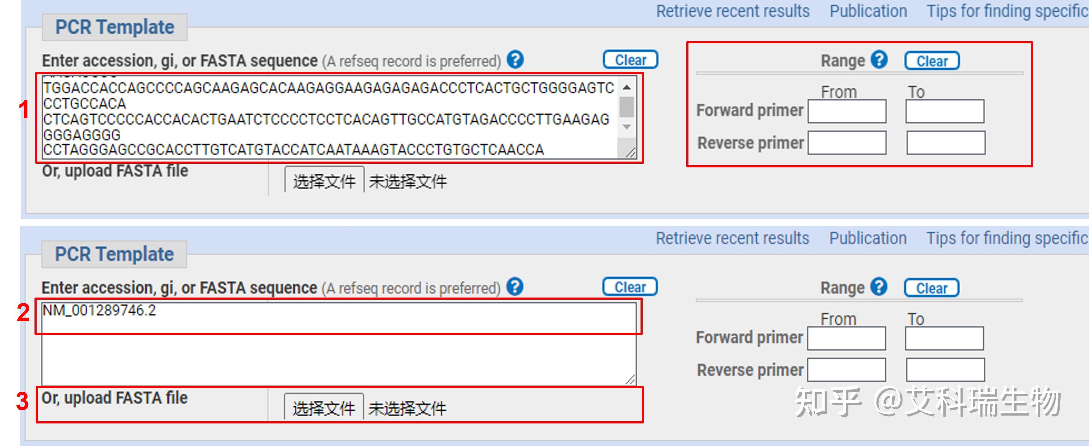 NCBI在线设计引物，经典必会！ - 知乎
