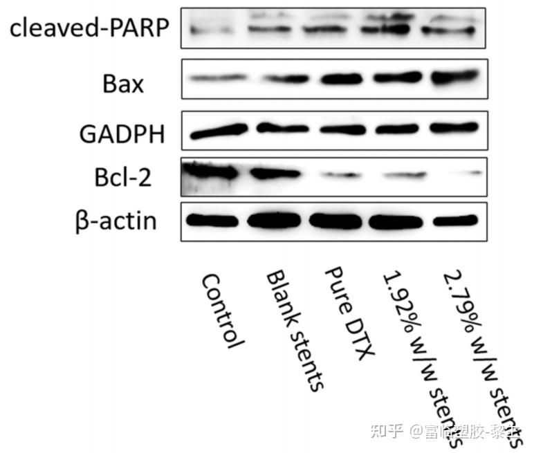 镍钛诺支架药物涂层：Chronosil 80A 5% - 知乎
