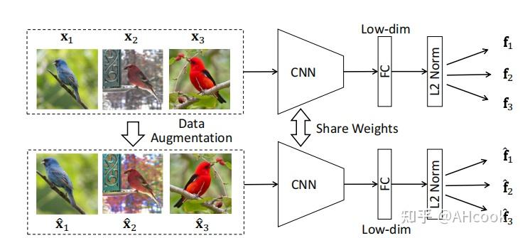 对比学习二 | Unsupervised Embedding Learning via Invariant and Spreading Instance Feature - 知乎