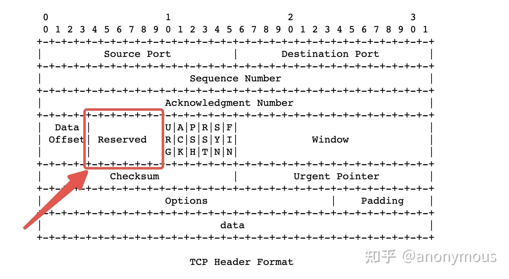 TCP Delayed ACK 辩证考 - 知乎