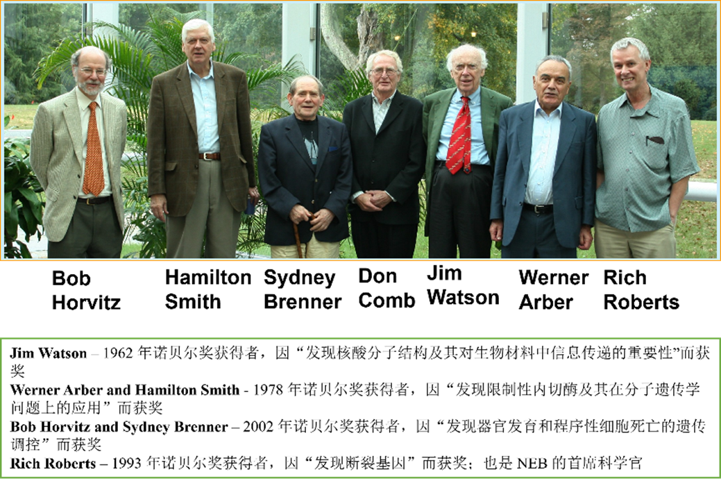 限制性内切酶的历史 NEB 持续在限制性内切酶领域进行技术创新的跨越之路 - 知乎