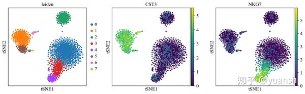 （单细胞-SingleCell）Scanpy流程——python 实现单细胞 Seurat 流程 - 知乎