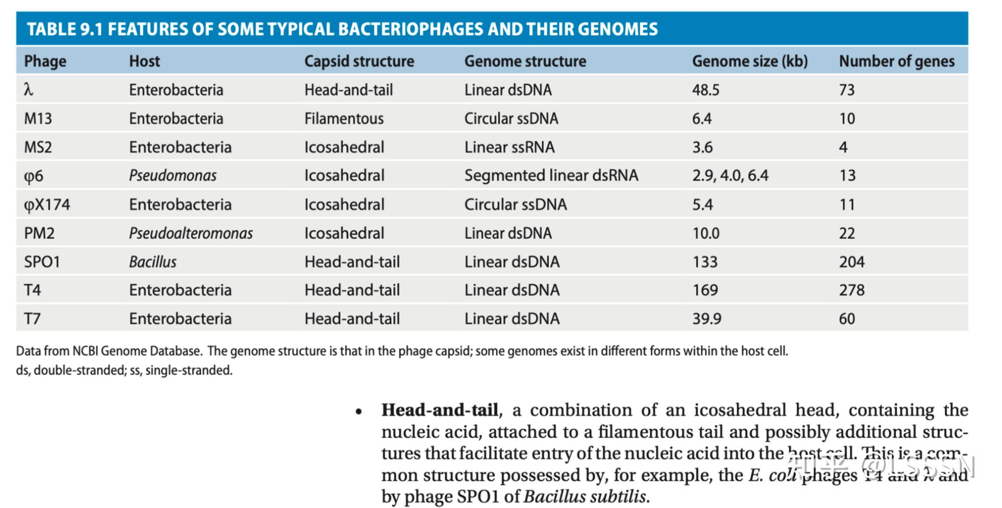 噬菌体和病毒基因组（Phages and Viruses genomes） - 知乎
