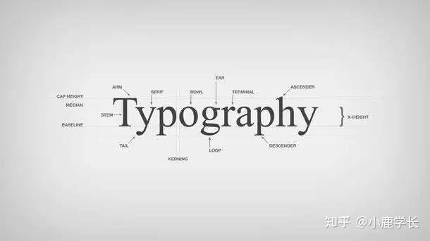 设计师必须知道的50个设计词汇 - 知乎