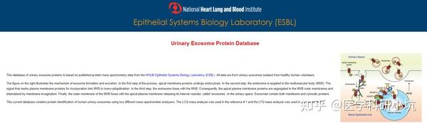 科研干货丨8大外泌体数据库，值得收藏！ - 知乎