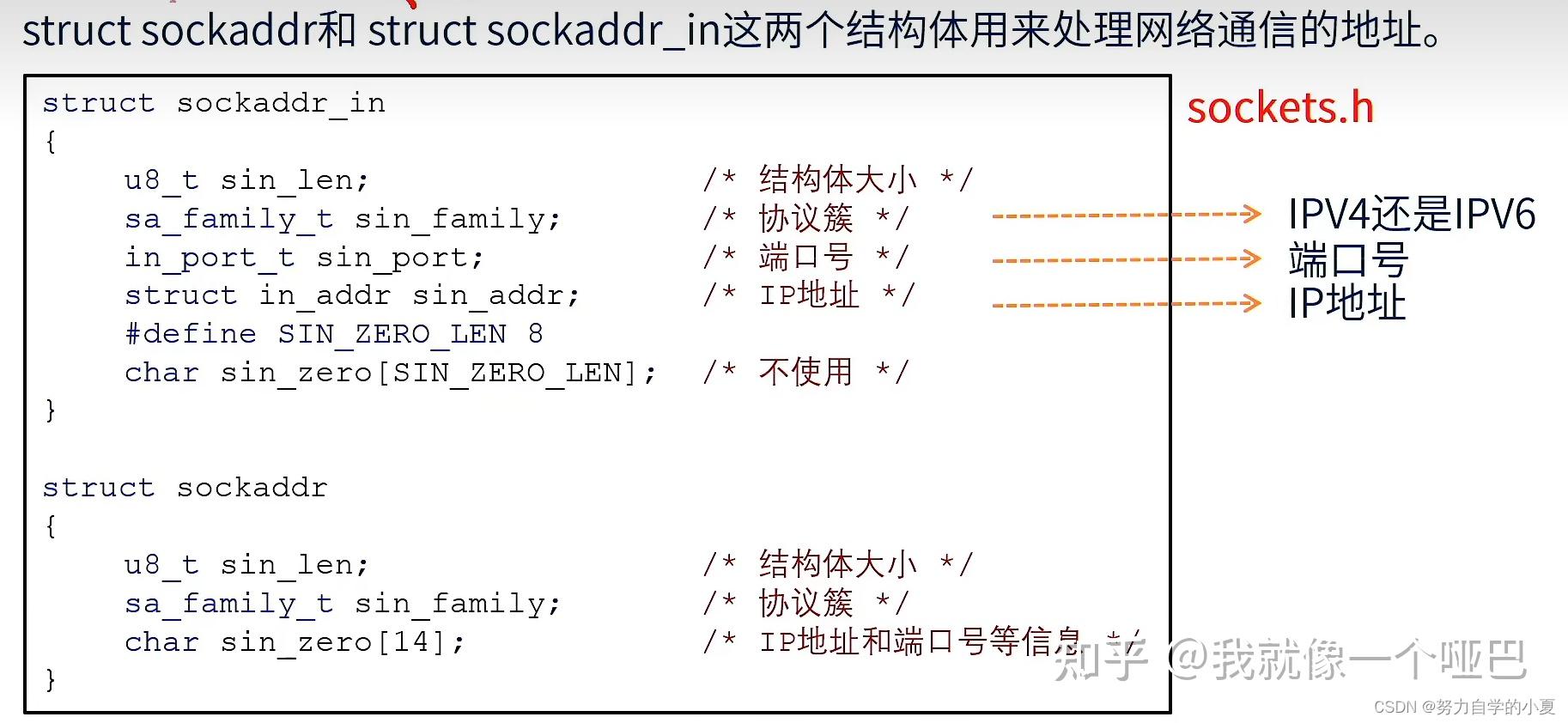 正点原子lwip学习笔记——socket接口简介 知乎