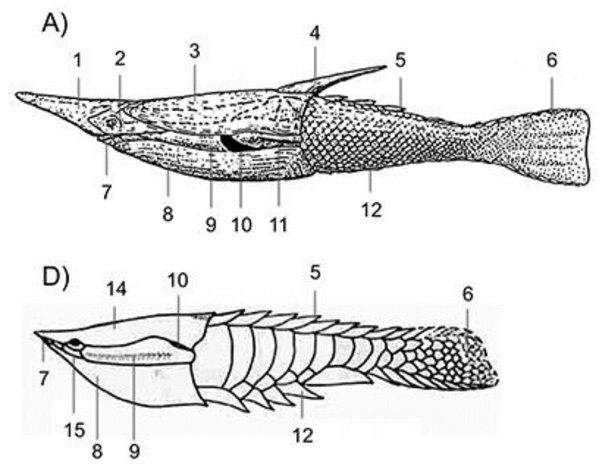 【地球演义】甲胄记（下）：Masked Ball - 知乎