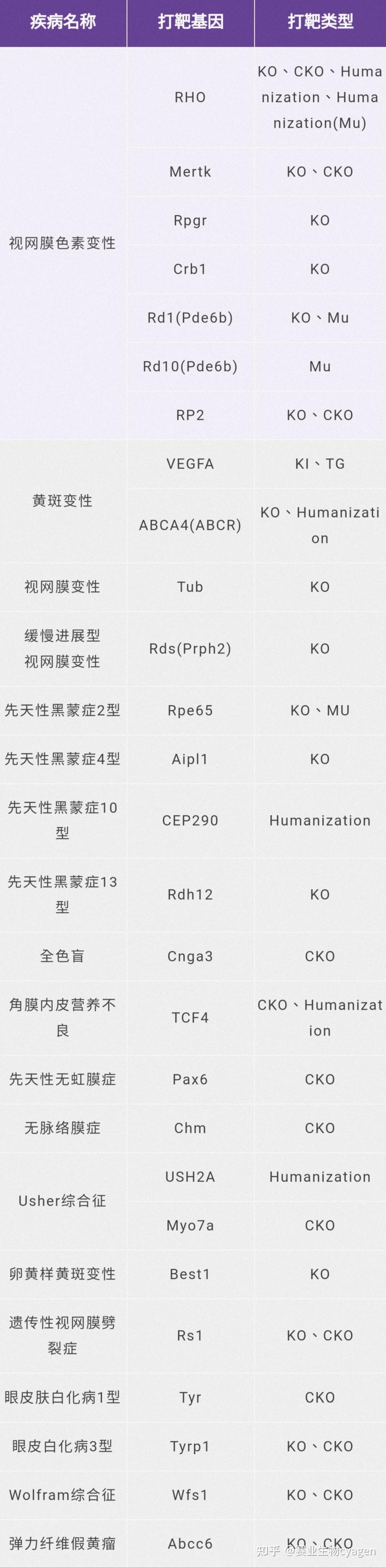 细数RHO：视网膜色素变性研究下的热门基因（内含小鼠模型推荐） - 知乎