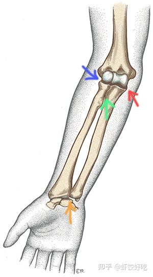3dsMax的Twist原理以及在Control Rig中实现 - 知乎