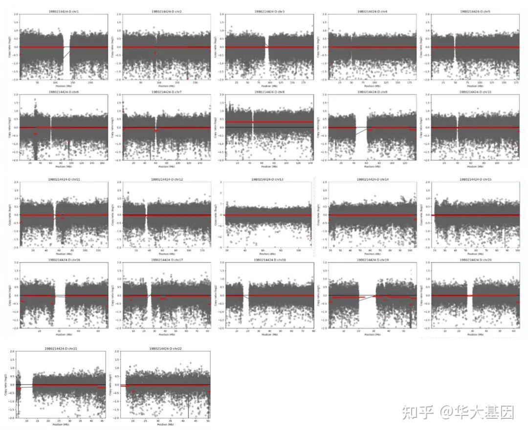 重磅！华大PMseq® CNV分析流程全新上线 - 知乎