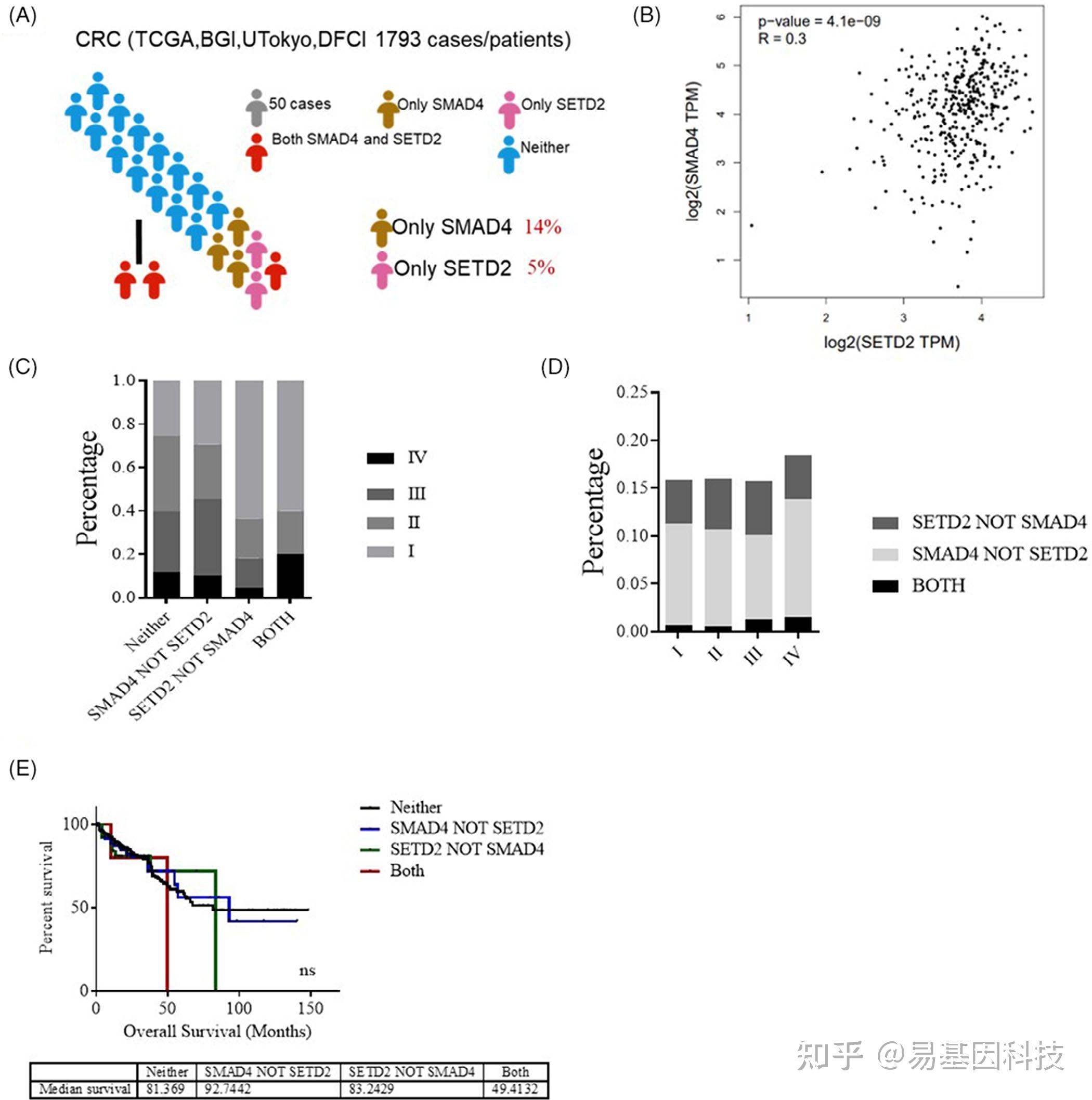 易基因：ChIP-seq等揭示SETD2介导H3K36me3调控结直肠癌进展的表观遗传机制｜CTM研究 - 深圳市易基因科技 - 博客园
