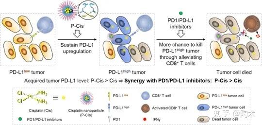 DNA 交联剂——顺铂（Cisplatin）【TargetMol】 - 知乎