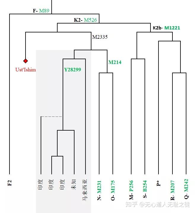 现代东亚人的起源之旅与父系单倍群 - 知乎