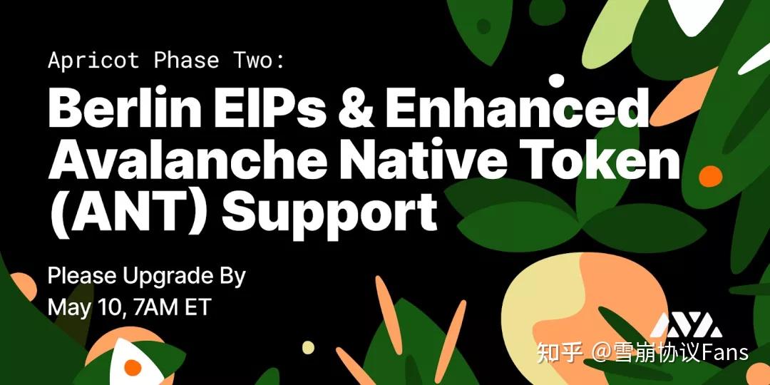 了解C-Chain：Avalanche DeFi生态的载体 - 知乎