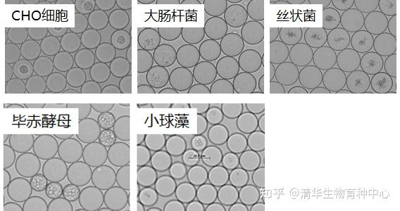 入门指南：DREM cell操作全攻略 - 知乎