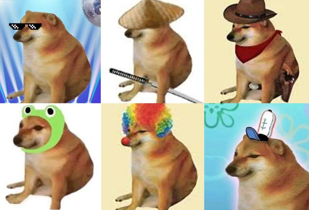 又怂又废，它是全世界最红的狗 - 知乎