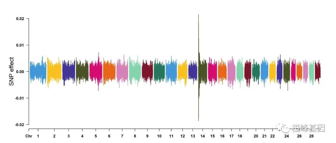 DNA 12. SCI 文章绘图之全基因组关联分析可视化(GWAS) - 知乎