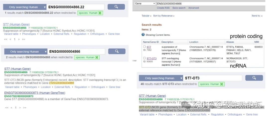 常见基因ID类型和批量转换 - 知乎