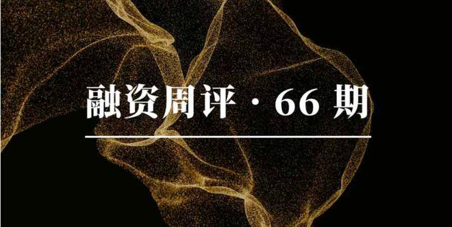 Web3Caff 每日精选：融资周评、公链终局会是区块链模块化么？解析并行执行技术 - 知乎