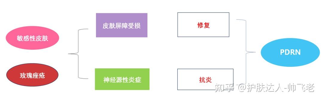PDRN是什么？ - 知乎