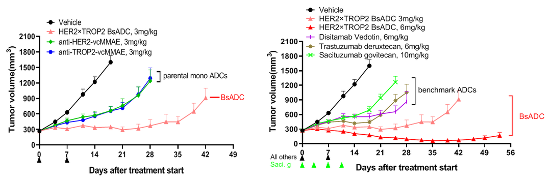 PDX模型，模拟真实肿瘤生长 - 知乎