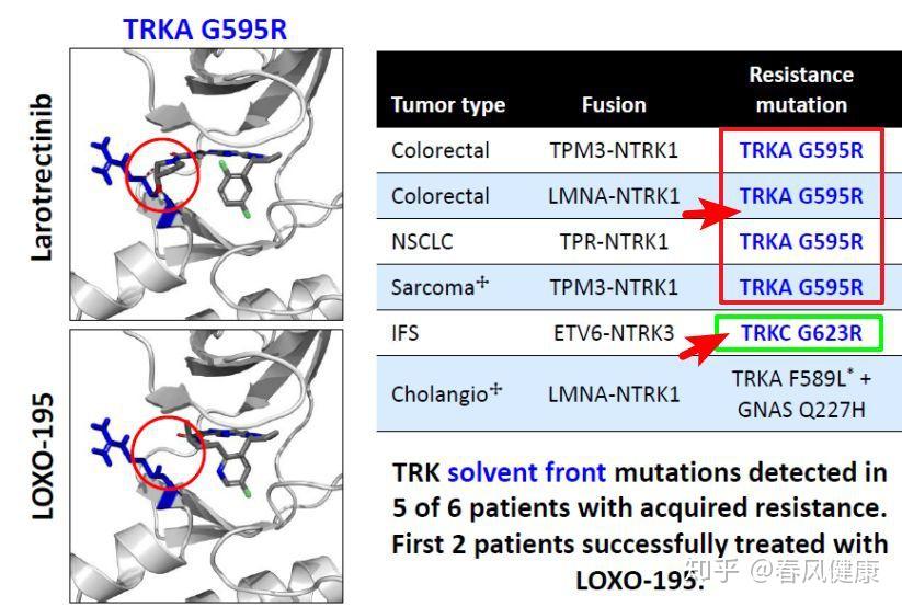 神奇公司LOXO重磅广谱抗癌新药—LOXO-101对17种肿瘤有效（二） - 知乎