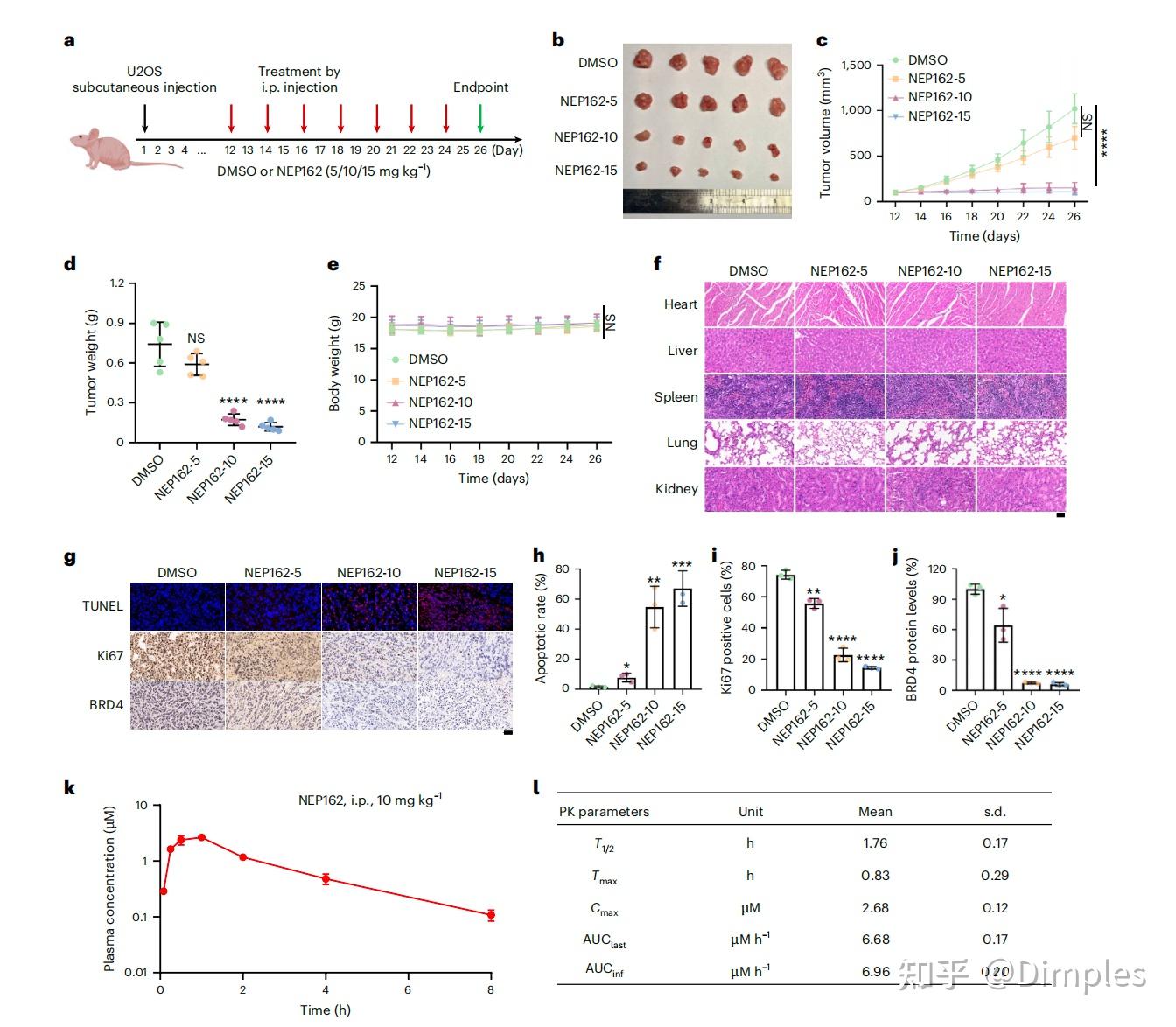 利用全新E3泛素连接酶GID4设计PROTAC - 知乎