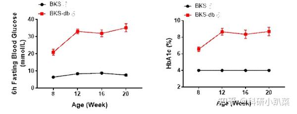 BKS-DB | Ⅱ型糖尿病小鼠模型 - 知乎