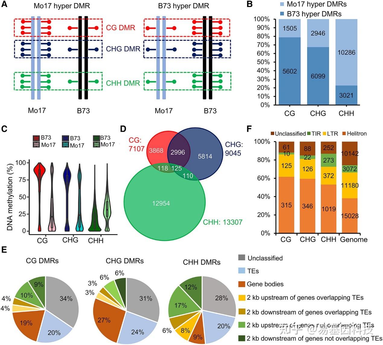 易基因：CHH甲基化丢失可触发玉米表观等位基因的可遗传变化｜作物研究 - 知乎