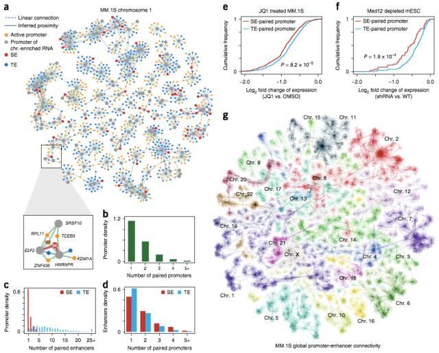 振奋人心的3D基因组技术：GRID-seq探索RNA-DNA相互作用 - 知乎