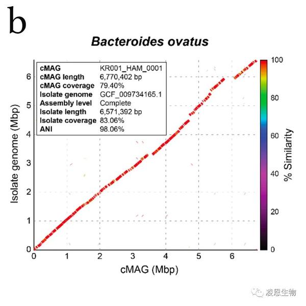 宏基因组组装新概念—cMAGs(完成图MAGs) - 知乎