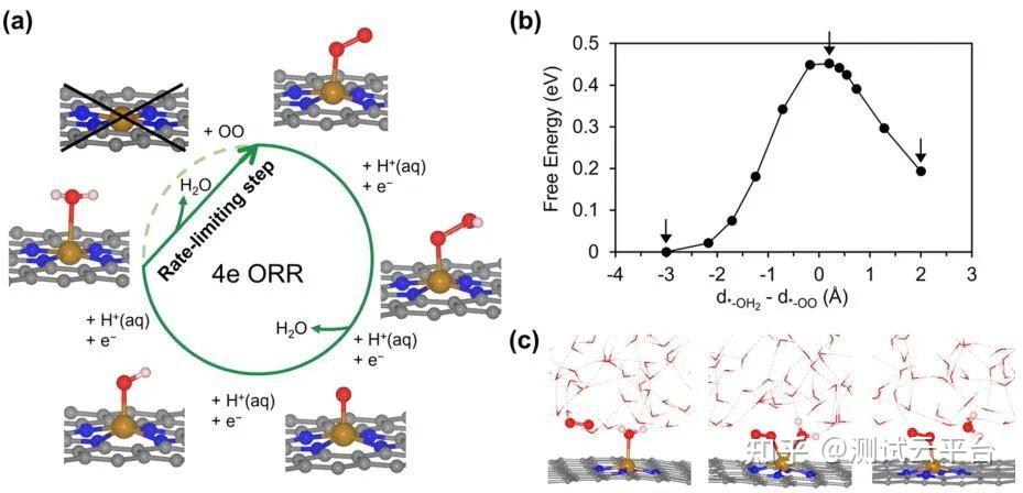 顶刊集锦：JACS/Angew/AM/ACS Catal./Small等计算成果 - 知乎